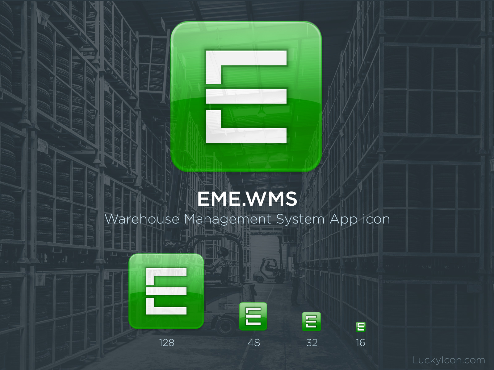 Set of icons for Warehouse Management System EME.WMS